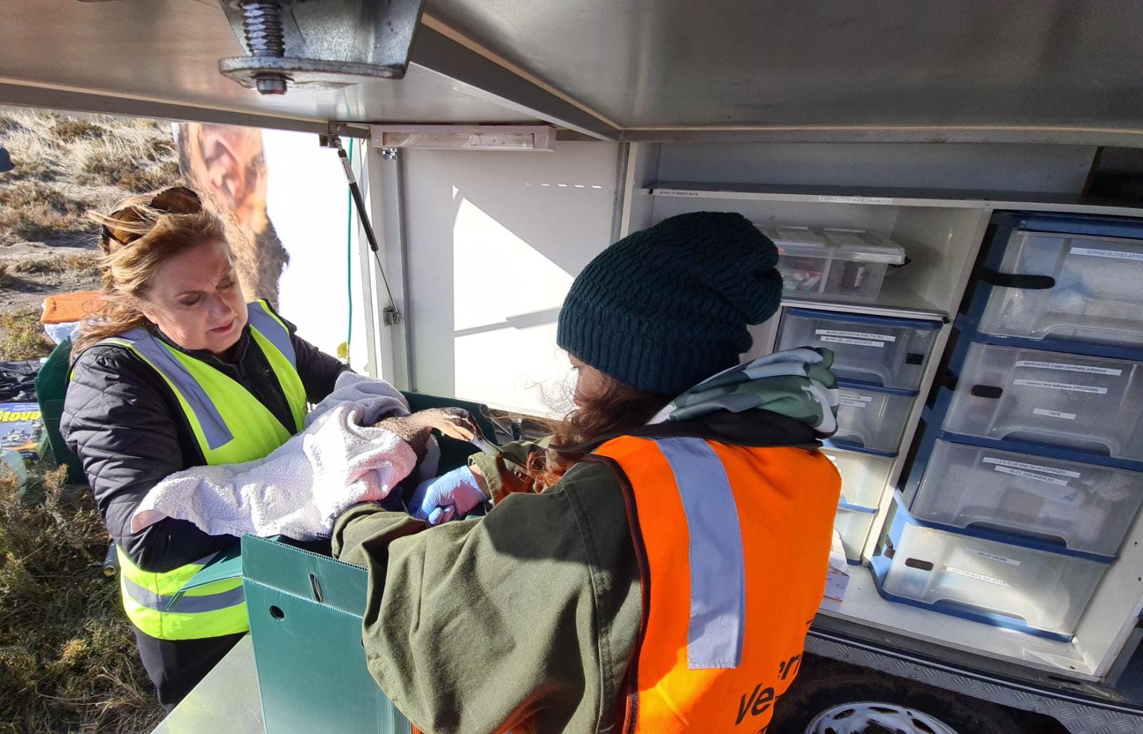 Wildlife Victoria - ESF - Emergency Services Foundation